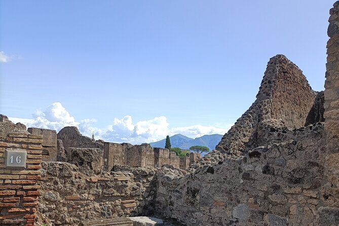 Naples transfer to Pompeii guided tour and Back - An Easy, Stress-Free Start to Your Pompeii Adventure