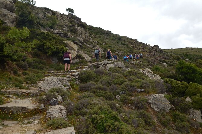 Naxos: Hike to the Top of the Cyclades - Mount Zas - Exploring the Experience in Detail