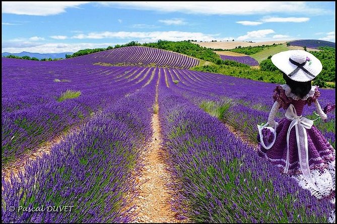 Nice: Gorges of Verdon and Fields of Lavender Tour - What’s the Real Value?