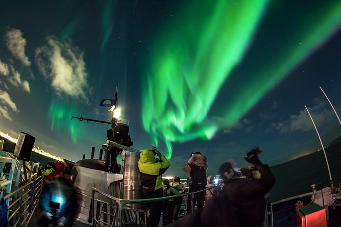 Northern Lights Cruise from Reykjavik Including Photos - Who Will Love This Tour?