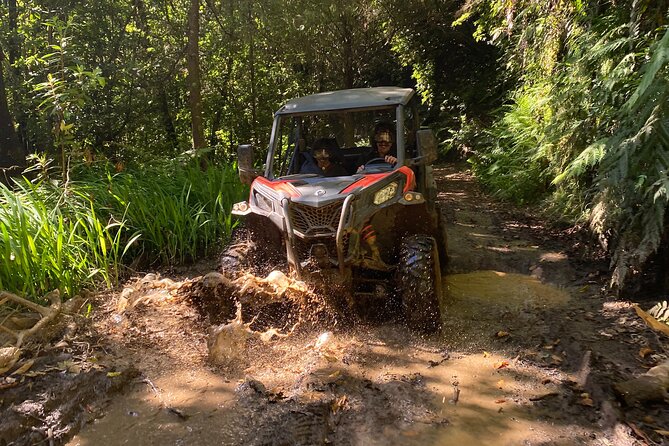 Off-Road Buggy Driving Experience - Key Points