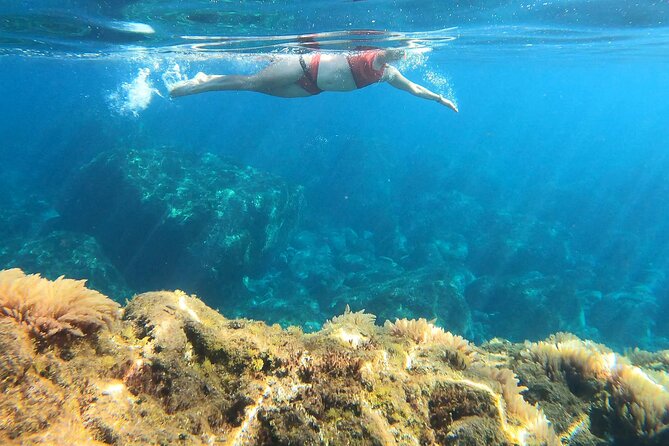 Open-Water Swimming in Madeira - FAQ