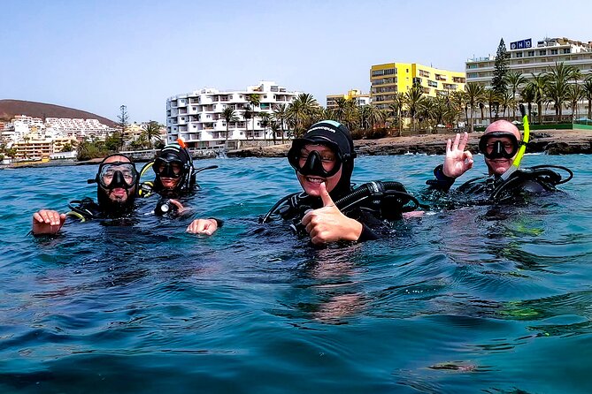 PADI Scuba Diving Courses in Tenerife: All Specialities Until Divemaster - Key Points