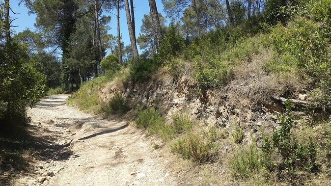 Photography route through the secret nature of Barcelona - Key Points