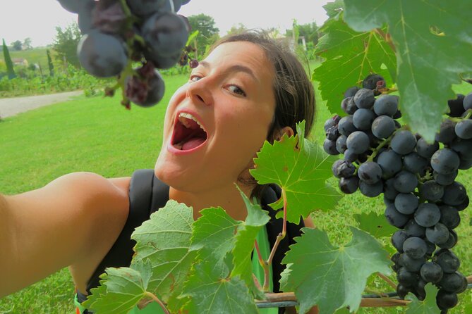 Pisa, Vinci, Tuscany, Wine tasting all in one day! - Small Group - Transportation and Group Size