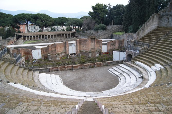 Pompeii and Vesuvius Small Group Tour From Naples with Pizza - Introduction