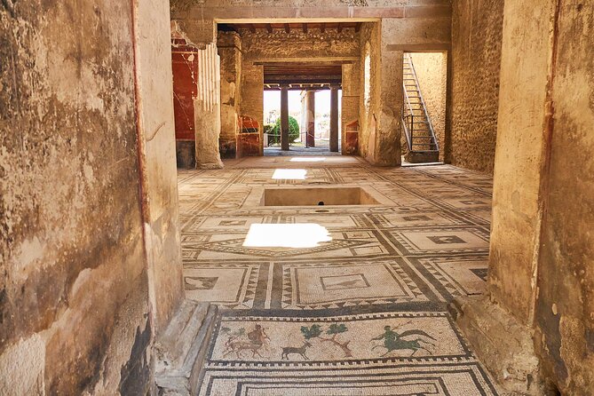Pompeii, Herculaneum & Mt Vesuvius Private Tour from Naples - An In-Depth Look at What You Can Expect