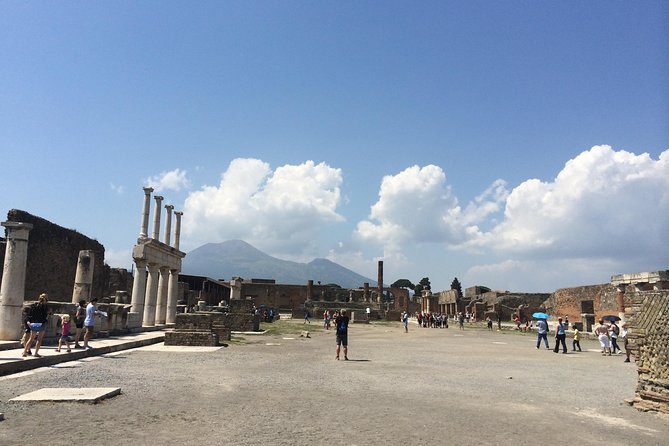 Pompeii-Wine tasting tour from Sorrento, licensed guide included - Key Points