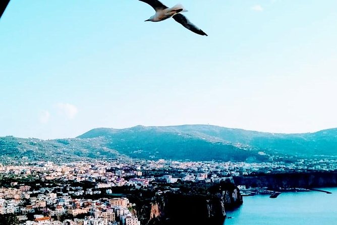Positano - Pompeii - Who Will Love This Tour?