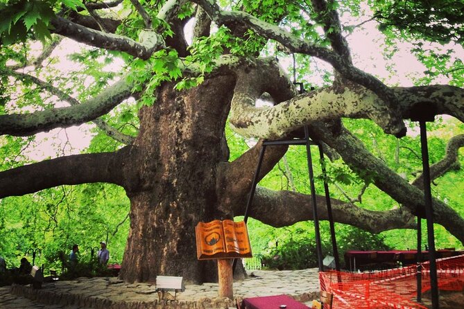 Premium Bursa and Uludag Tour - (Breakfast-Lunch Included) - The Itinerary in Detail