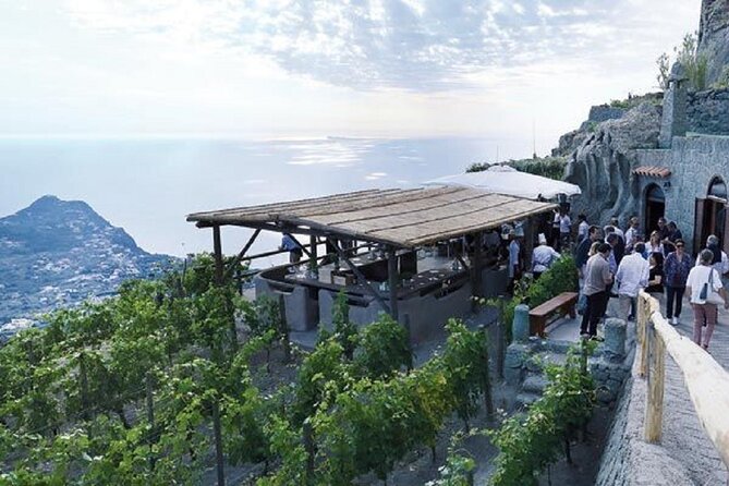 Premium Ischia Wine Tasting Experience with Transfer Included - A Closer Look at the Ischia Wine Tasting Tour