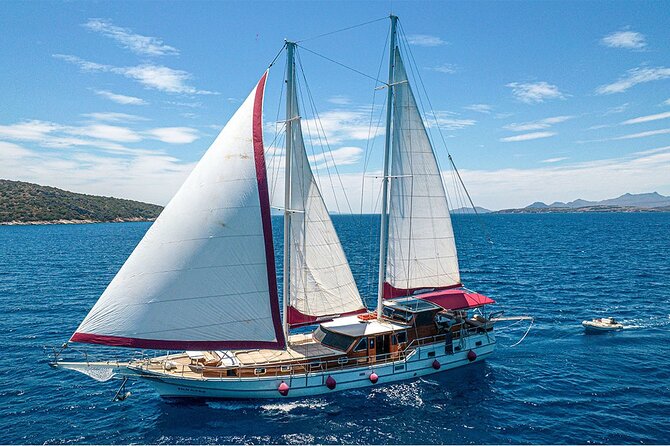 Private Boat Experience in Bodrum Coast with Snorkeling and Coves - Exploring the Bodrum Coast in Style: What This Tour Offers