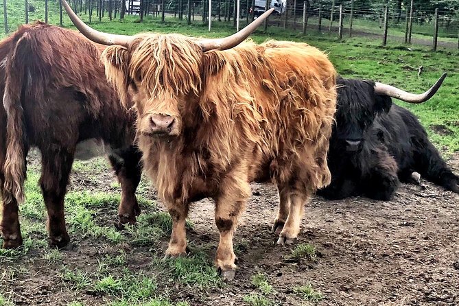 Private Day Trip Outlander Filming Locations from Edinburgh - Key Points