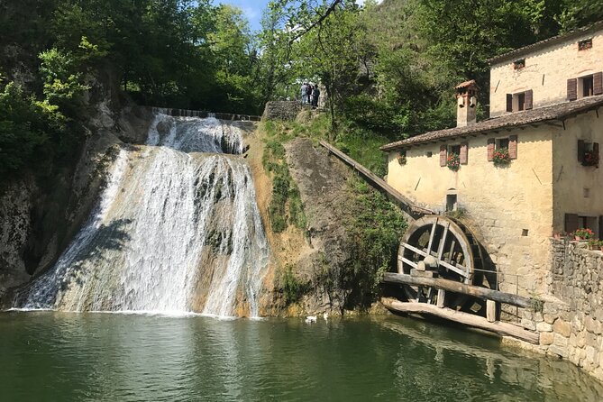 Private Full-Day Prosecco Wine Tour from Venice - An In-Depth Look at the Private Prosecco Tour