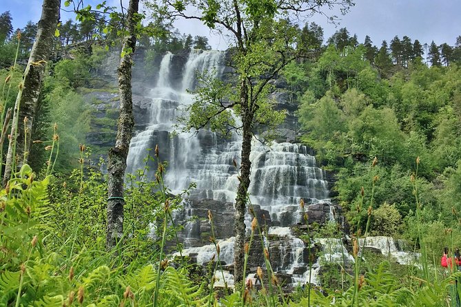 PRIVATE GUIDED TOUR: The Heart of Norway  Viking Special, 8-9 hours  SUMMER - The Experience in Context: An Honest Assessment of Value