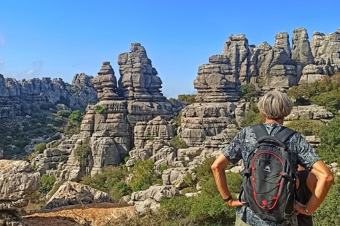 Private Guided Tour to Torcal de Antequera - What Reviewers Love Most