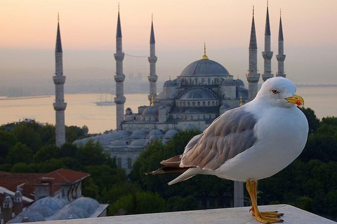 Private Istanbul Layover Tour From Airport - Why Choose This Layover Tour?