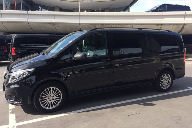 Private One-Way Transfer: City of Paris - What to Expect from the Service