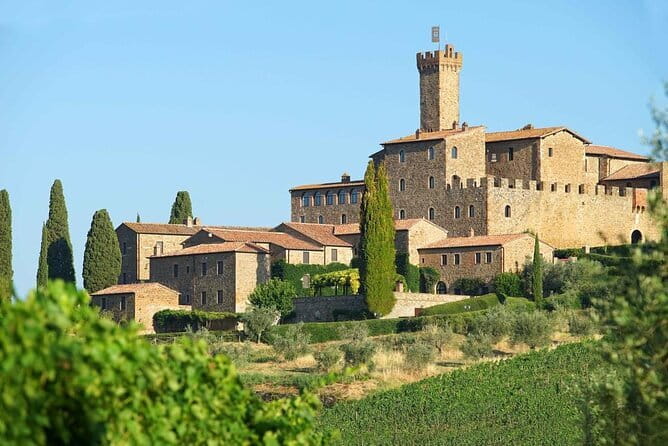 Private Tour and Wine Tasting at Castle-Wineries in Chianti from Florence - A Closer Look at the Itinerary: What You Can Expect