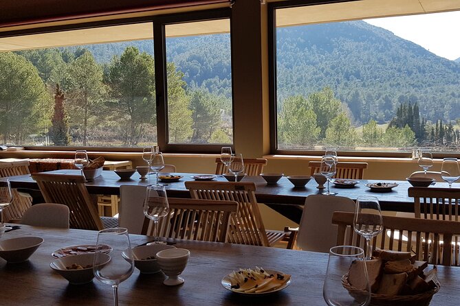 Private Tour - Hike and wine tasting at the Penedés - Exploring Outside Barcelona: A Comprehensive Overview