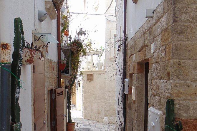 Private tour in Polignano a Mare: overlooking the sea - Pictorial Alleys and Breathtaking Views