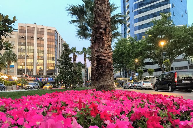 Private Tour in zmir - An In-Depth Look at the Izmir Private Tour