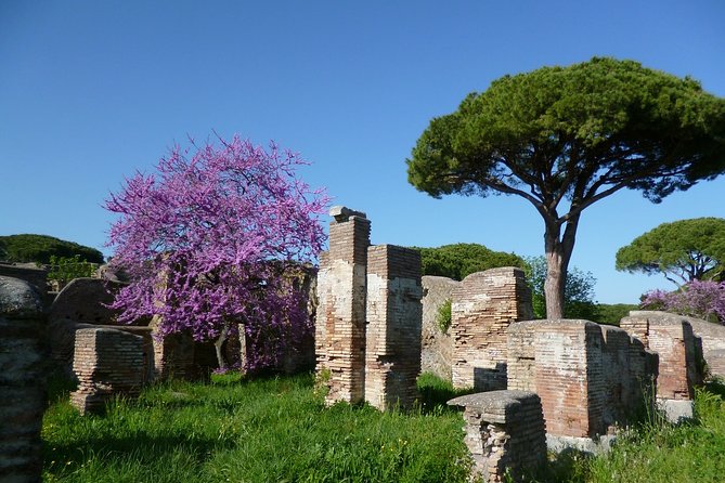 Private Tour of Ancient Ostia with Exclusive Guide and Skip-the-line Tickets - Who Will Love This Tour?