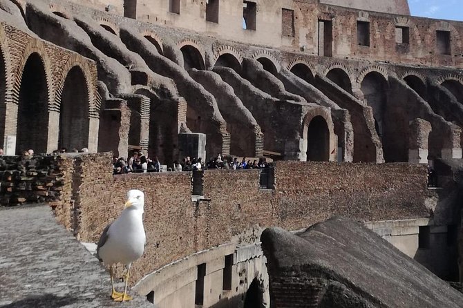 Private tour of Colosseo - The Practicalities