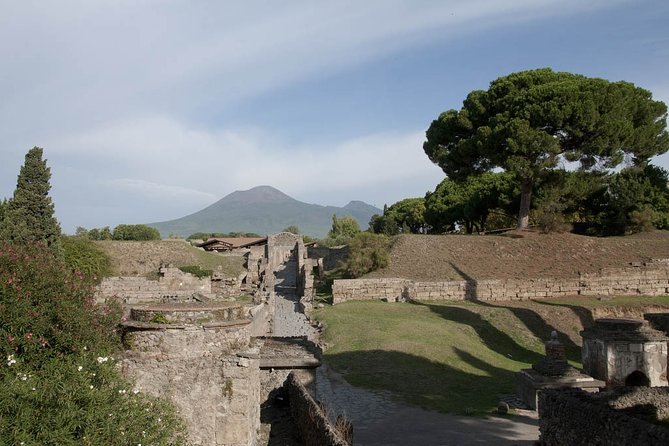Private tour Pompeii Vesuvius and Winery from Sorrento - Seamless Transportation and Personalized Service