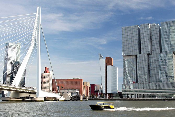 Private Tour Rotterdam: Highlights, Water Taxi and Rooftop view - Exploring Rotterdam: A Deep Dive into the Private Tour