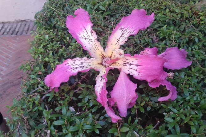 Private tour Royal Palace+Cathedral+old Jewish neighbourhood - What to Expect from the Tour: A Deep Dive into Each Stop