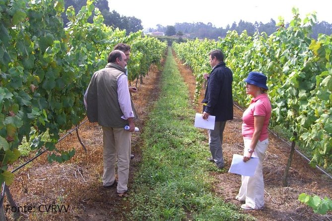 Private Tour to Melgaço and Monção, the heart of the Alvarinho region - The Sum Up
