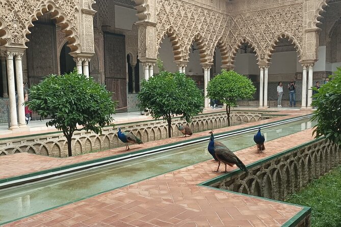 Private Tour with Local Guide to know the Seville Essential - A Deep Dive into the Seville Essential Experience