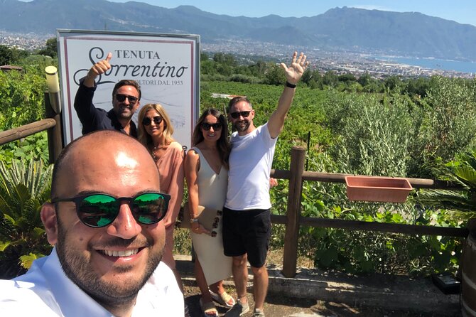 Private Transfer from Naples to Sorrento or Vice Versa - Why Choose a Private Transfer?