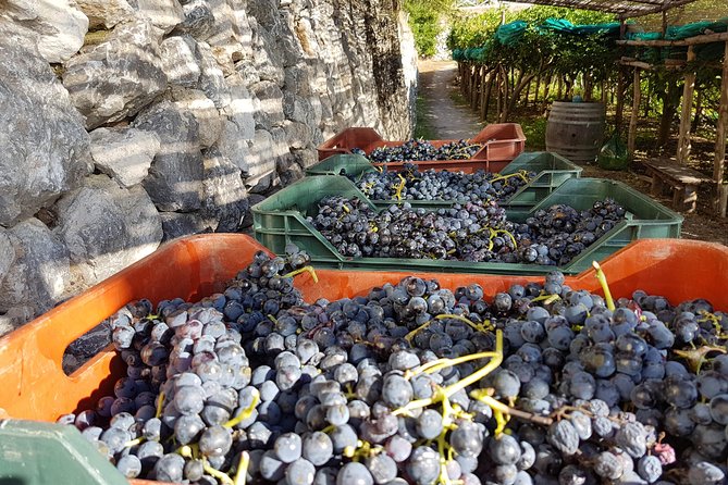 Private Vineyard Visit: Wine Tasting, Local Delicacies & Ceramics - Why the Tour Keeps Getting Rave Reviews