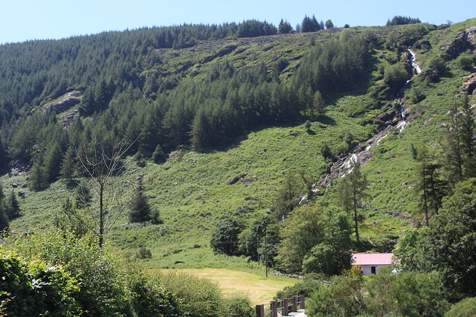 Private Wicklow Mountains Day Tour - An In-Depth Review of the Wicklow Mountains Day Tour