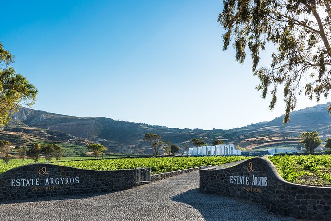 Private Wine Adventure Tour in the Most Distinct Wineries - An In-Depth Look at the Itinerary