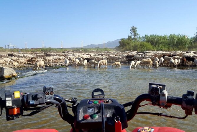 Quad Bikes for Guided Tours.