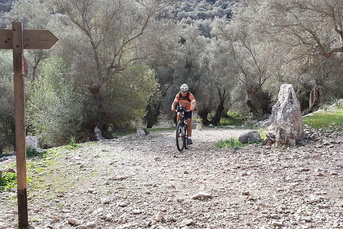 Rental mtb hardtail sram conor wrc 29 - What You Can Expect from Your Mallorca Bike Rental Day