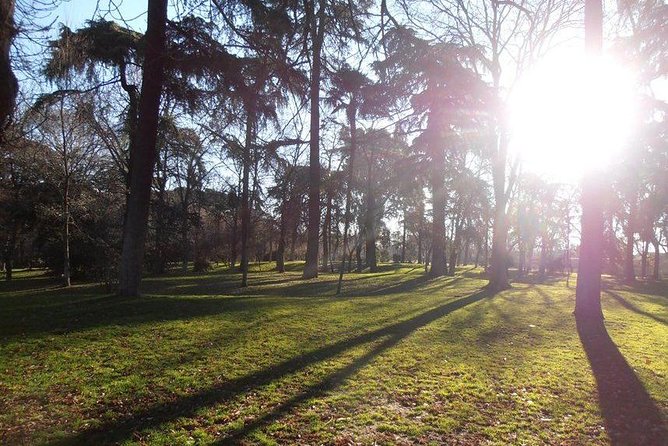 Retiro Park & Prado Museum Private Tour - Artistic Masterpieces at the Prado Museum