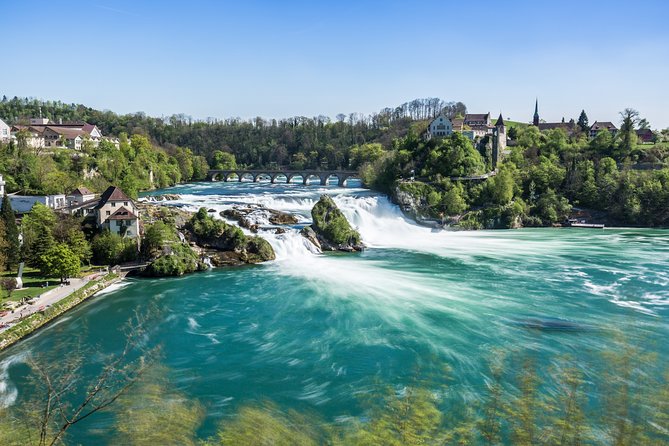 Rhine Falls and Stein am Rhein (Private Tour) - Who Will Love This Tour?