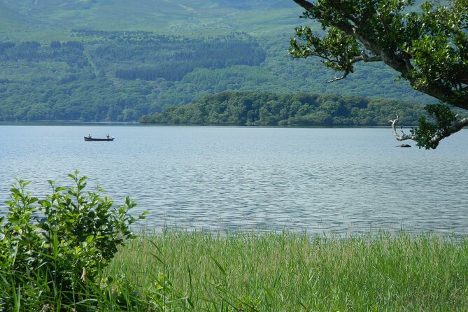 Ring of Kerry and Skellig Ring Private Tour - Cost and Value