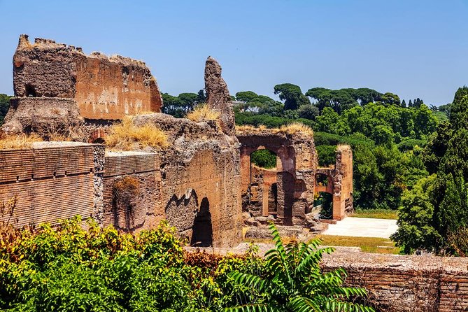 Rome Exclusive Caracalla Bath Private Guided Tour VIP Entry - Key Points