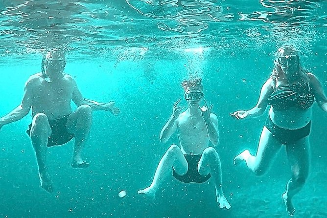 Sail, see, stop, photograph (4 hours) - What You Can Expect from the Tour