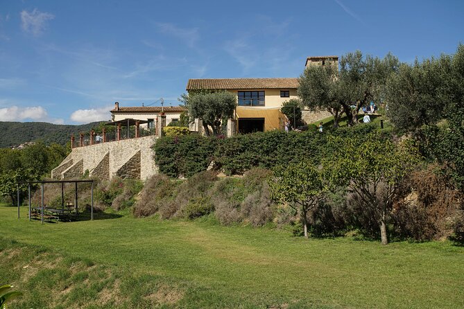 Sailing and Wine Tasting Experience Small Group in Barcelona - Value and Practicalities