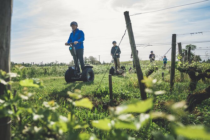 Segway ride between Lac Bleu and the castles of Pessac-Léognan - A Closer Look at the Experience