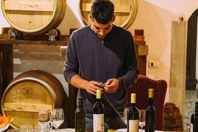 Self-Drive Vintage Fiat 500 Tour: Gourmet Lunch and Wine Tasting - The Scenic Drive and the Return