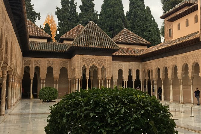 Semi Private Tour to the Alhambra from Nerja - Introduction: What’s the Buzz About?