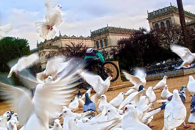 Seville Panoramic Walking Tour - Deep Dive into the Itinerary