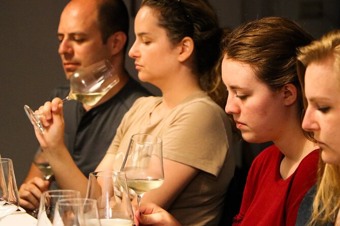 Shades of Italian Terroir - a tasting of minimal intervention wines - Key Points